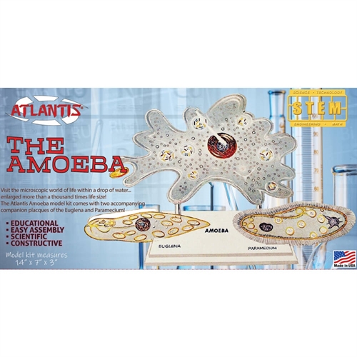 Atlantis Models Amoeba Single Cell Model Kit STEM